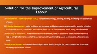 Agricultural Labour | PPTX