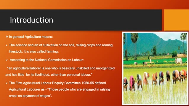 Agricultural Labour | PPTX | Agriculture | Industries
