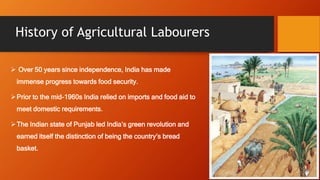 Agricultural Labour | PPTX