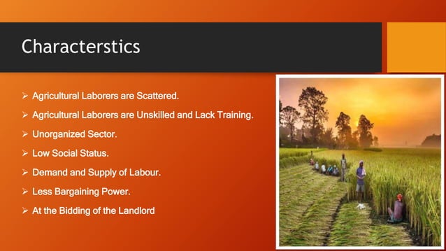Agricultural Labour | PPTX | Agriculture | Industries