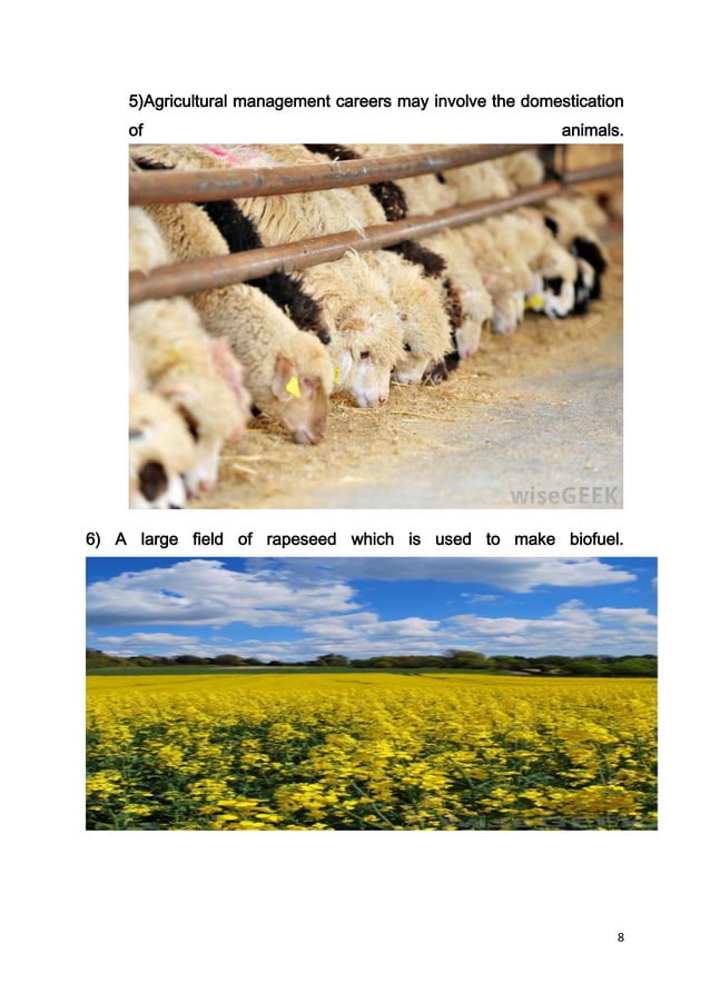 Agricultural Management.. | PDF | Agriculture | Industries