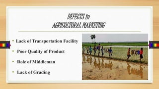 Agricultural marketing | PPT