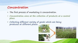 Agricultural marketing lecture notes 3 | PPT