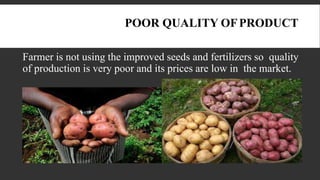 Agricultural marketing problems | PPTX