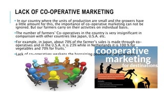 Agricultural marketing problems in Bangladesh | PPTX