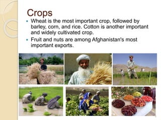 Agricultural mechanization in Afghanistan (Oct-2014) | PPTX