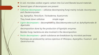 Agricultural microbiology | PPTX