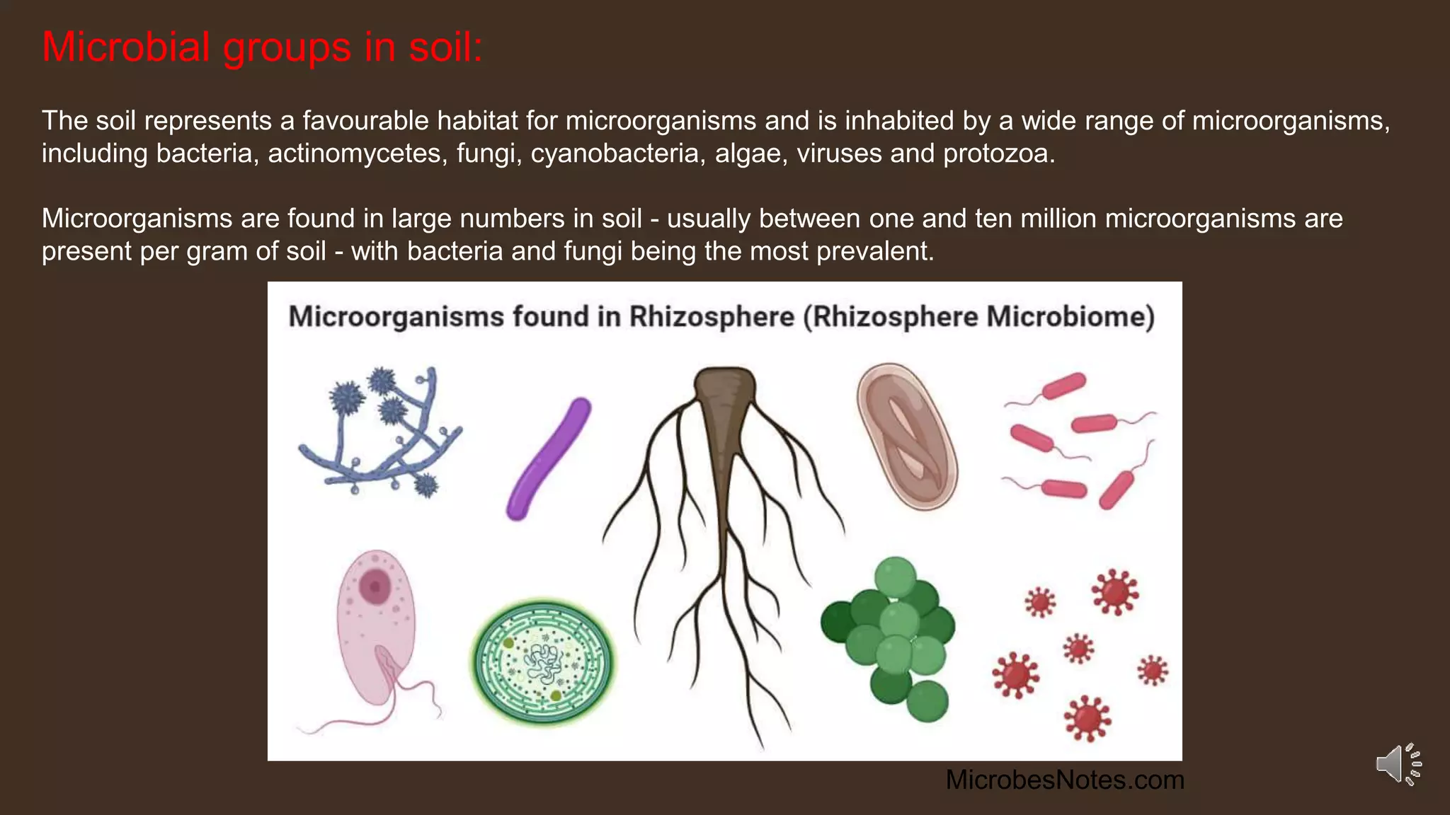 Agricultural microbiology.pptx