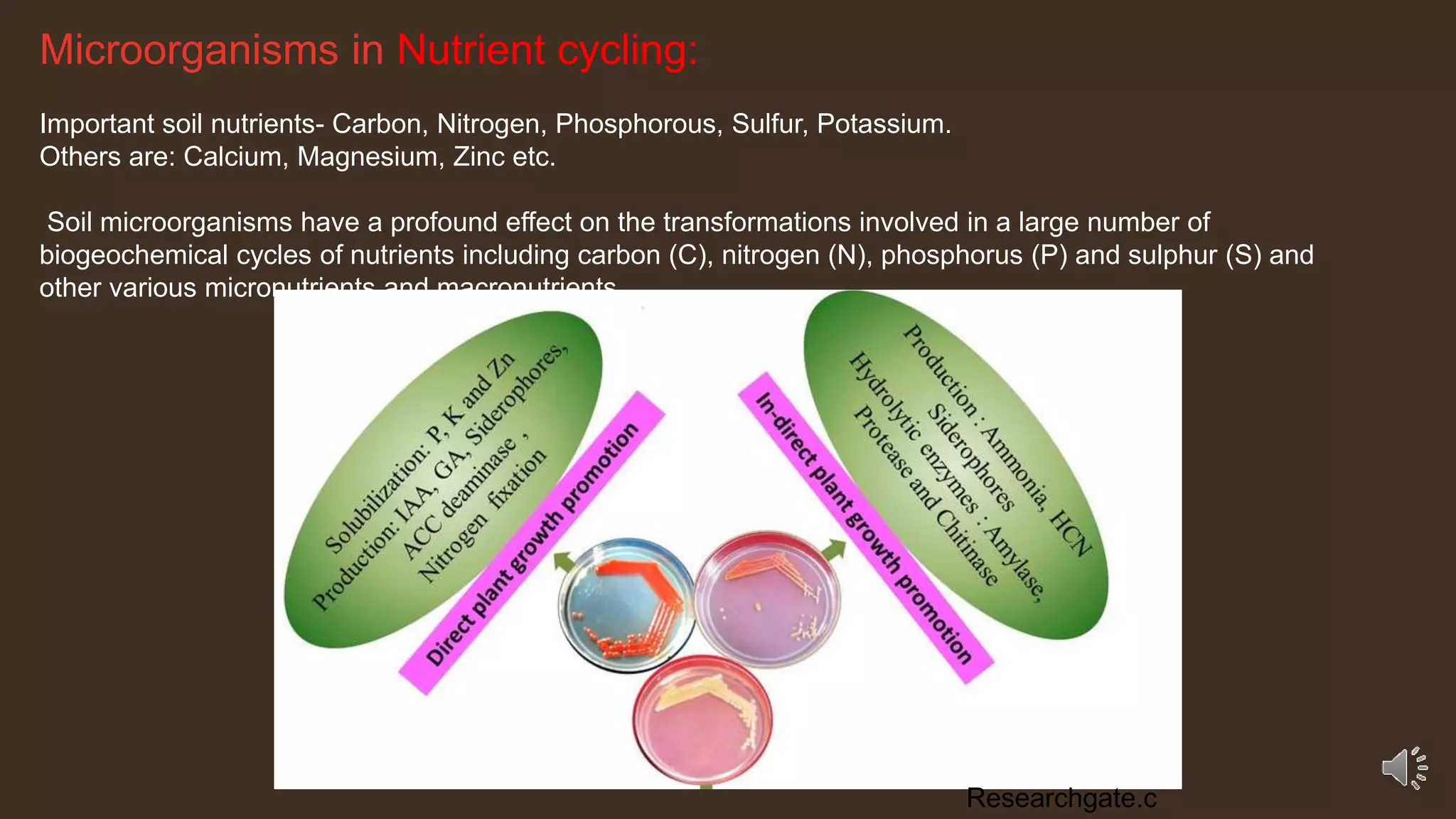 Agricultural microbiology.pptx