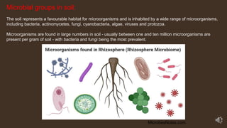 Agricultural microbiology.pptx