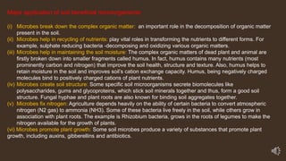 Agricultural microbiology.pptx