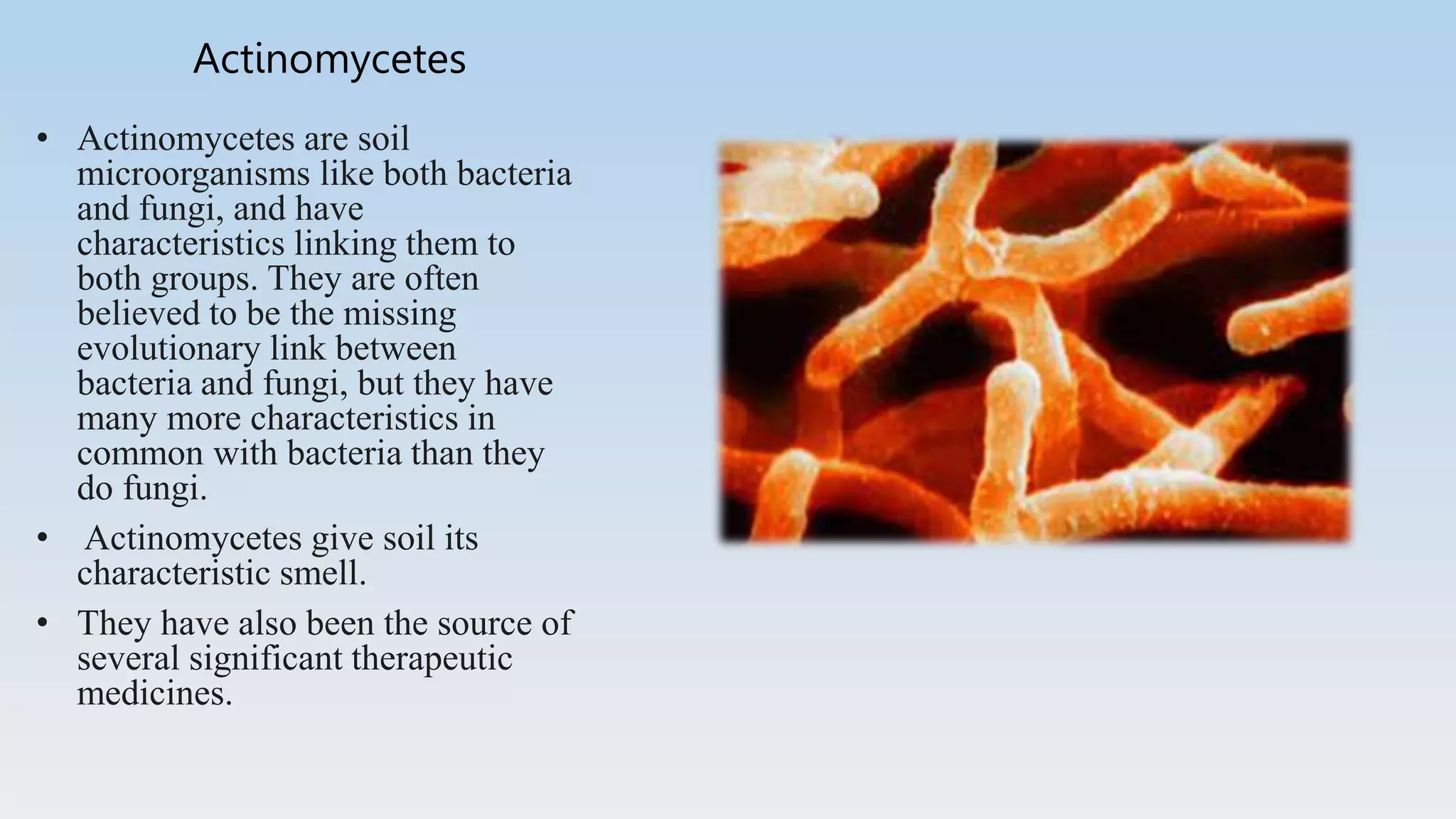 Agricultural Microbiology: Role of microbes in soil fertility | PPTX