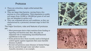 Agricultural Microbiology: Role of microbes in soil fertility | PPTX