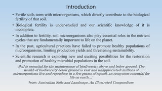 Agricultural Microbiology: Role of microbes in soil fertility | PPTX