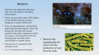 Agricultural Microbiology: Role of microbes in soil fertility | PPTX