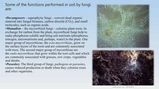 Agricultural Microbiology: Role of microbes in soil fertility | PPTX