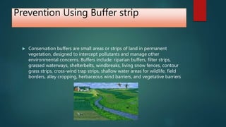 Agricultural pollution | PPTX