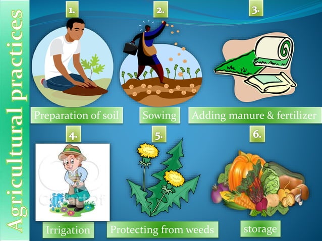 Agricultural practices in Science | PPT