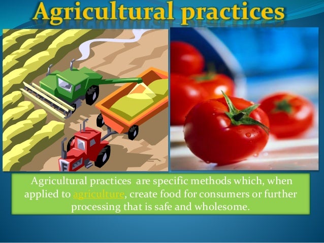 Different Types Of Agricultural Practices