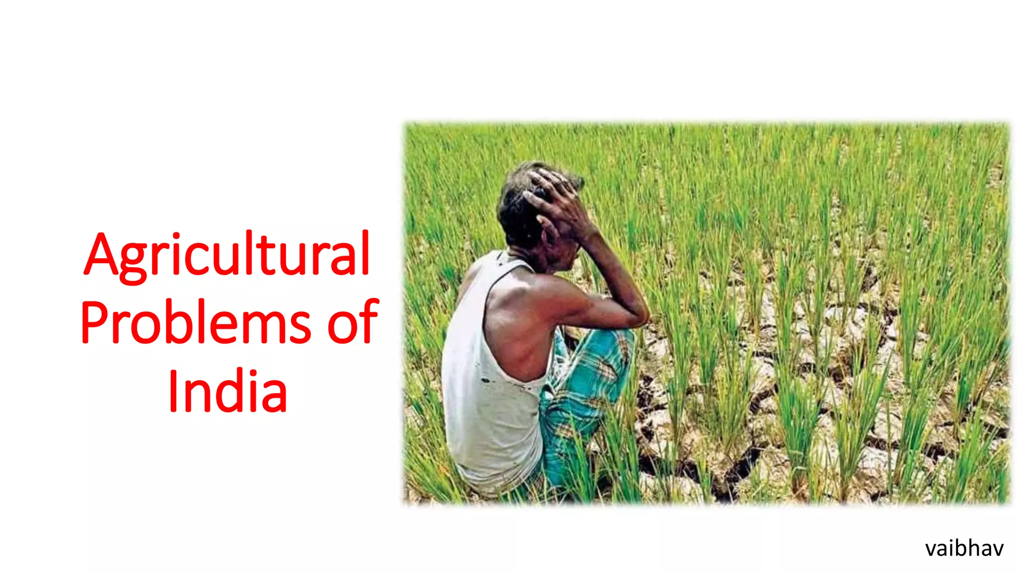Agricultural problems of india | PPTX