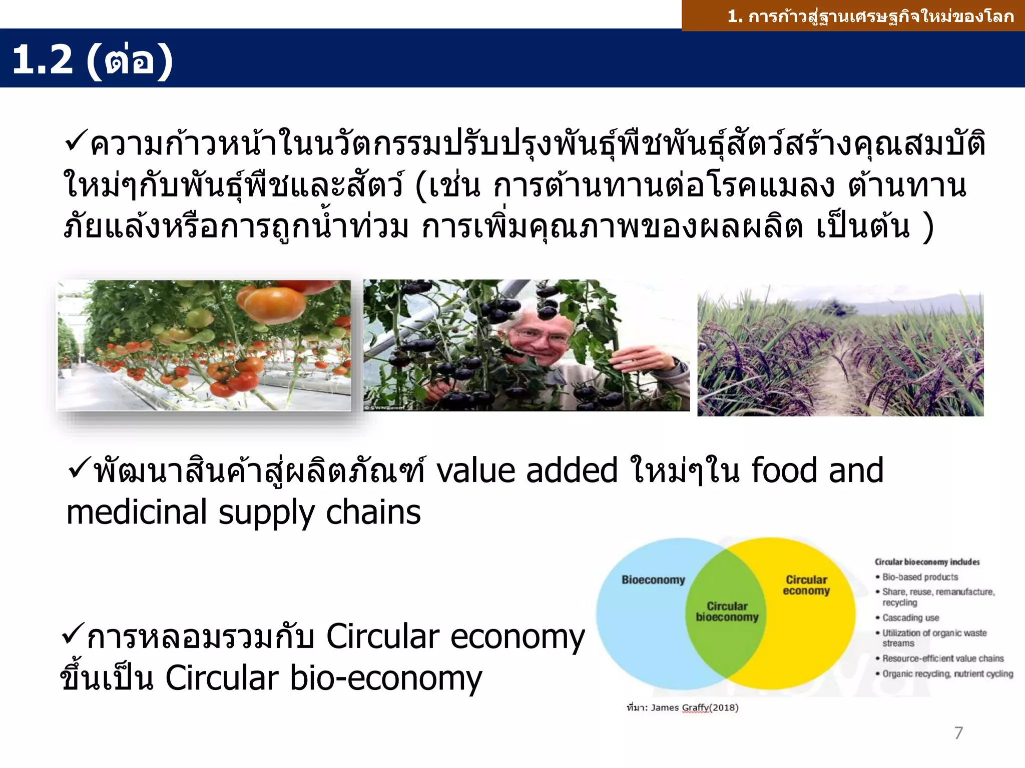 Agricultural product innovation | PDF