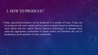 Agricultural production economics | PPTX