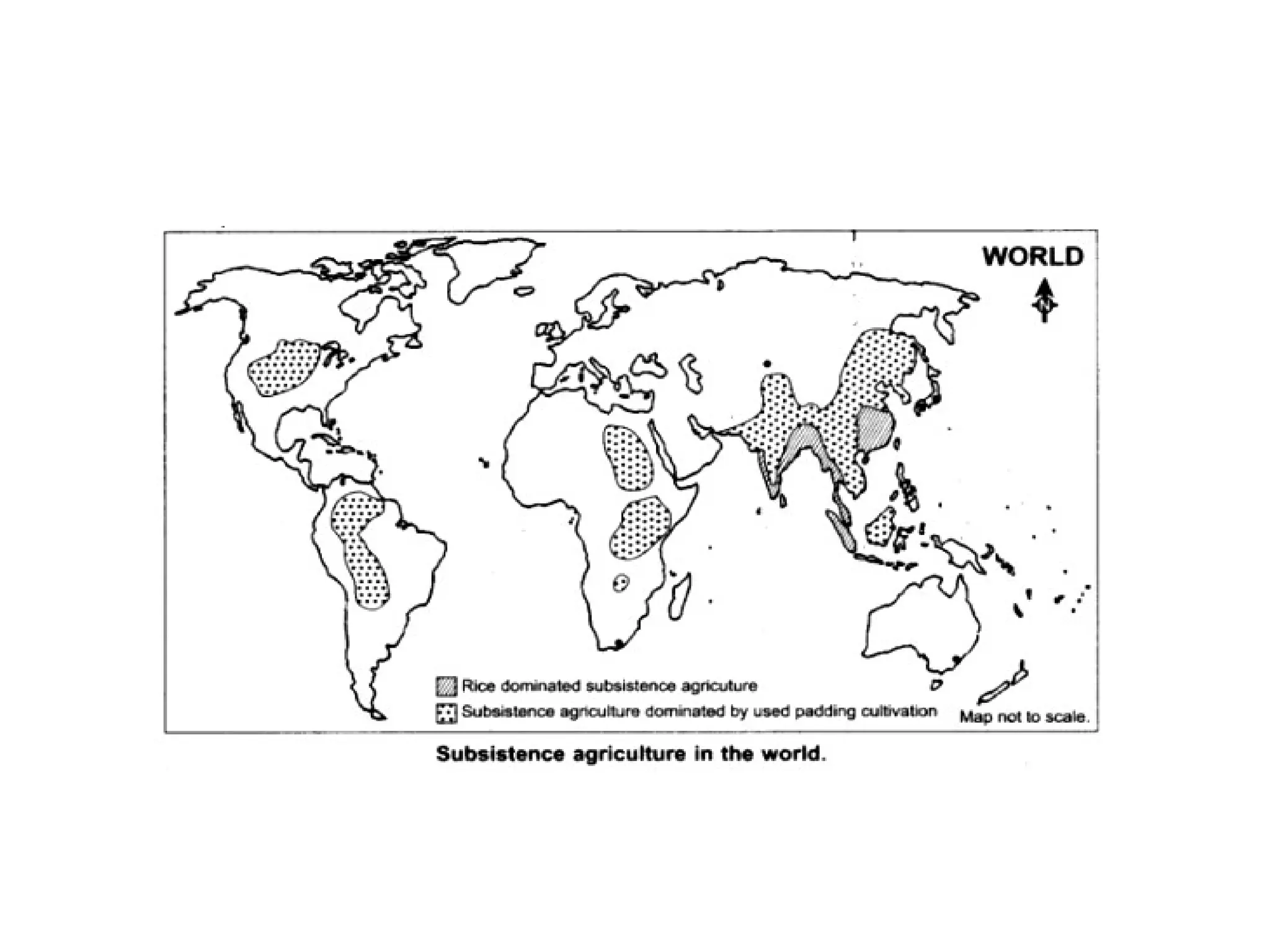 Agricultural region in the world by whittelsey | PPTX