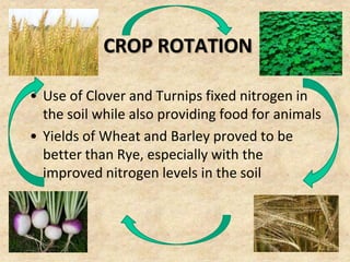 Crop Rotation Industrial Revolution
