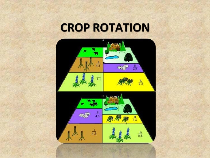 Crop Rotation Industrial