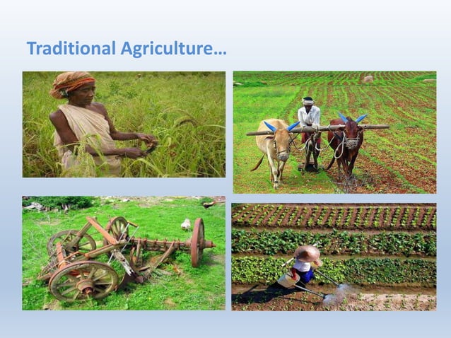 Agricultural revolution. 1ppt | PPT
