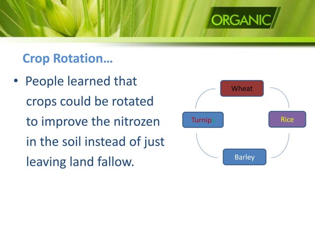 Agricultural revolution. 1ppt | PPT