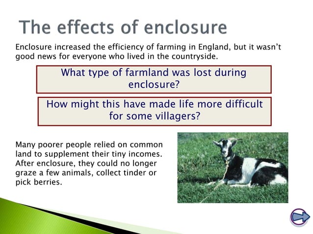 Agricultural revolution and enclosure movement | PPTX