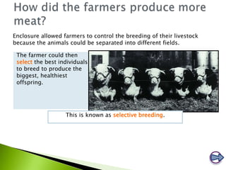 Agricultural revolution and enclosure movement | PPTX