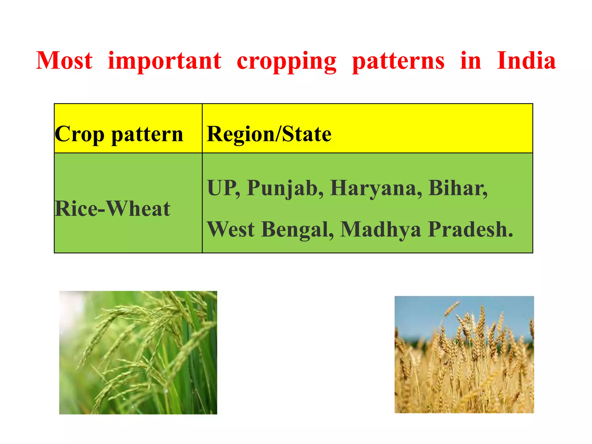 AGRICULTURAL SEASONS & CROPPING PATTERN.ppt