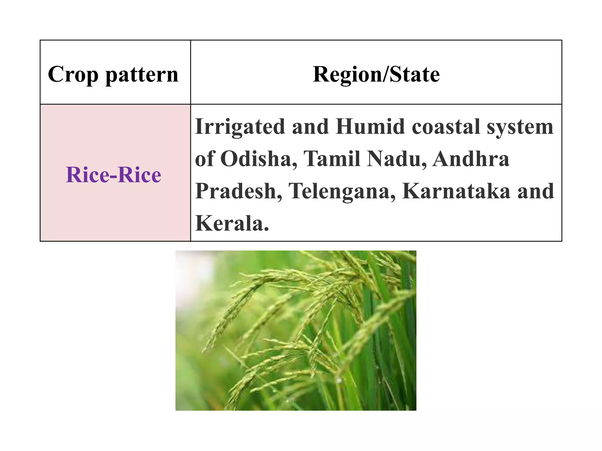 AGRICULTURAL SEASONS & CROPPING PATTERN.ppt
