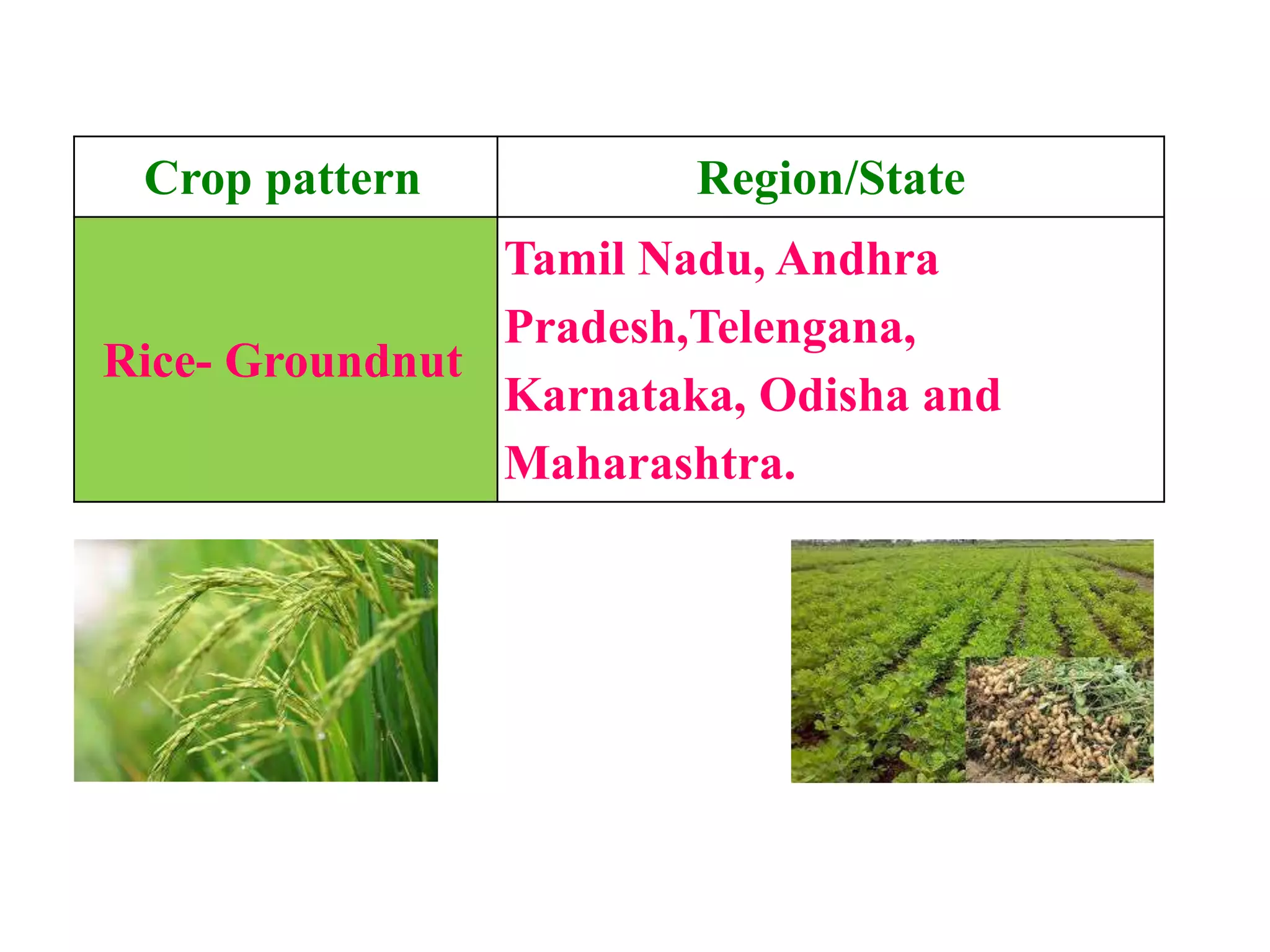 AGRICULTURAL SEASONS & CROPPING PATTERN.ppt