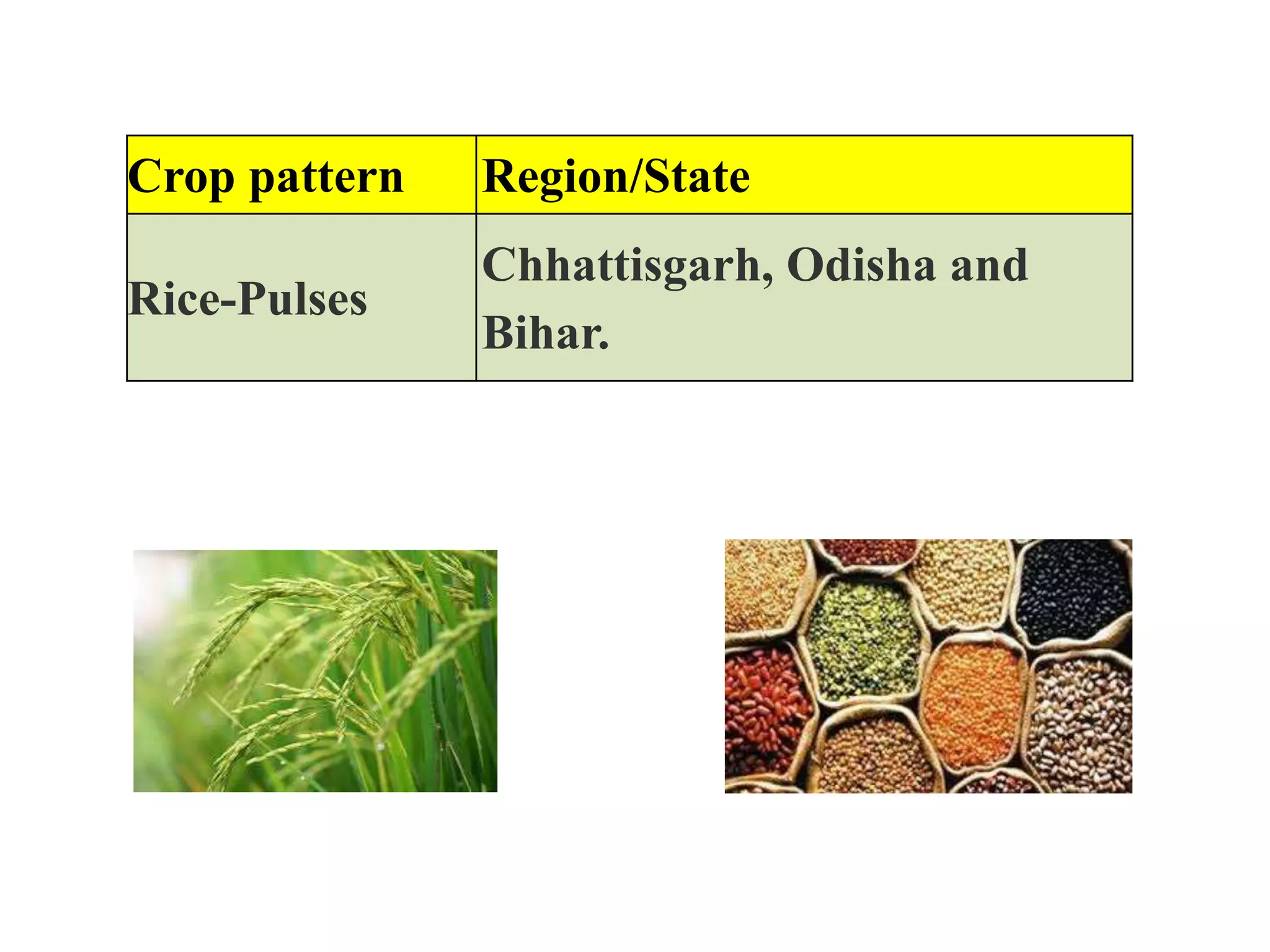 AGRICULTURAL SEASONS & CROPPING PATTERN.ppt
