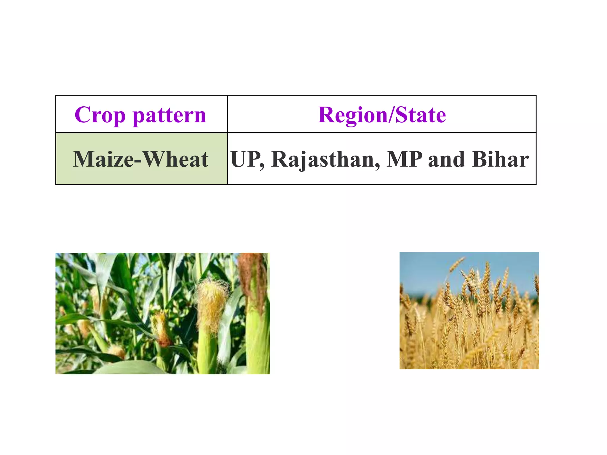 AGRICULTURAL SEASONS & CROPPING PATTERN.ppt