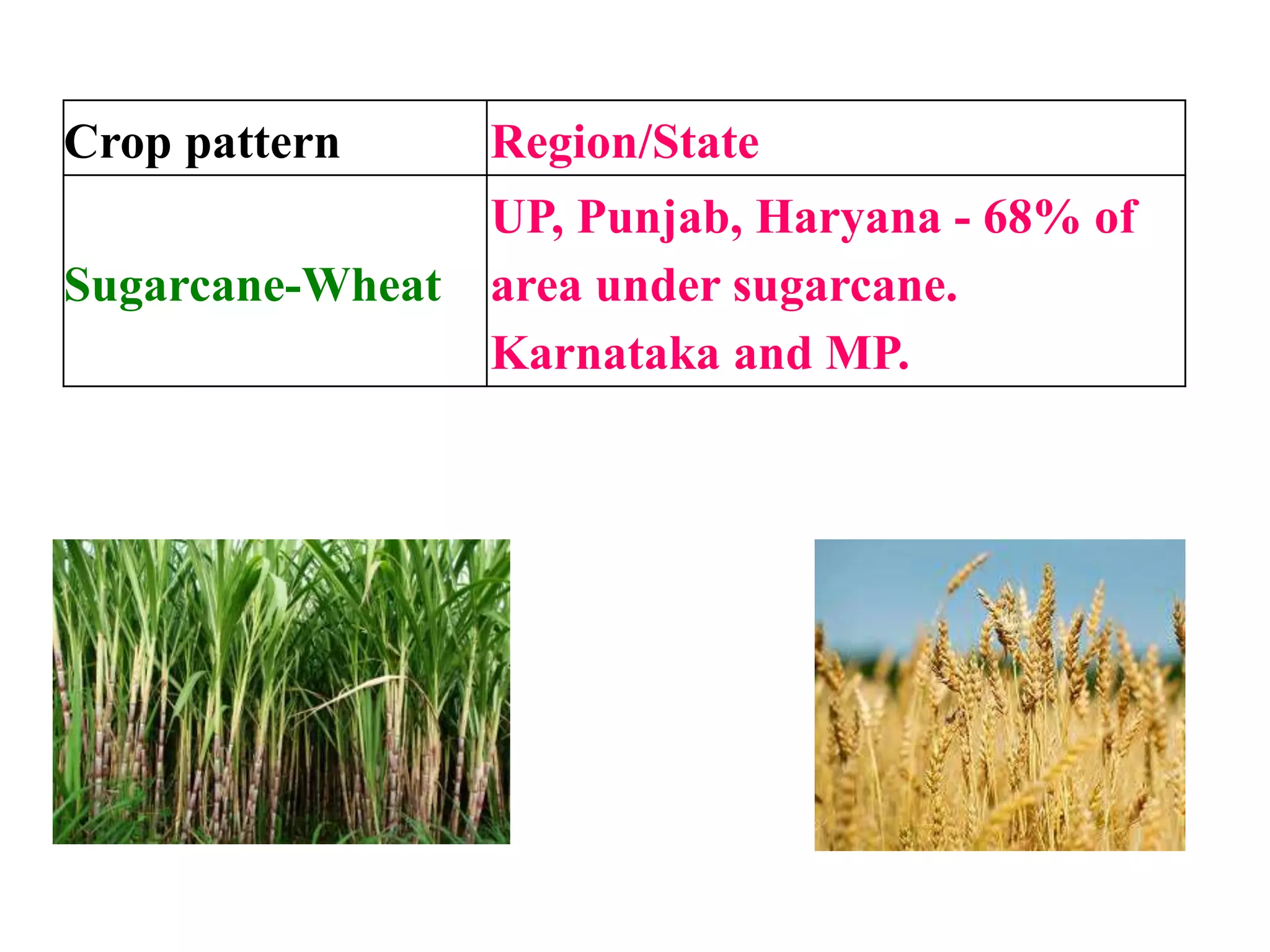 AGRICULTURAL SEASONS & CROPPING PATTERN.ppt