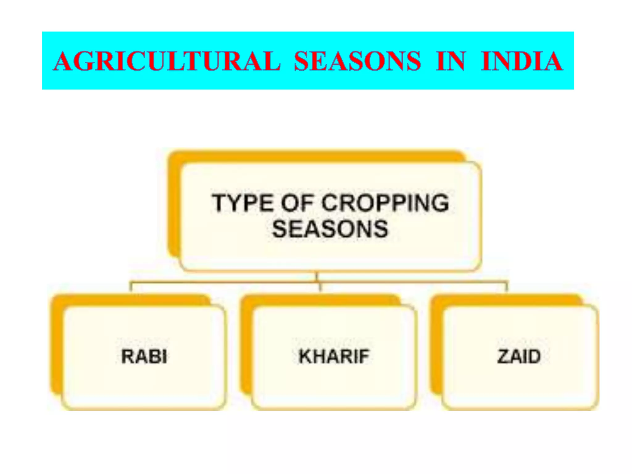 AGRICULTURAL SEASONS & CROPPING PATTERN.ppt