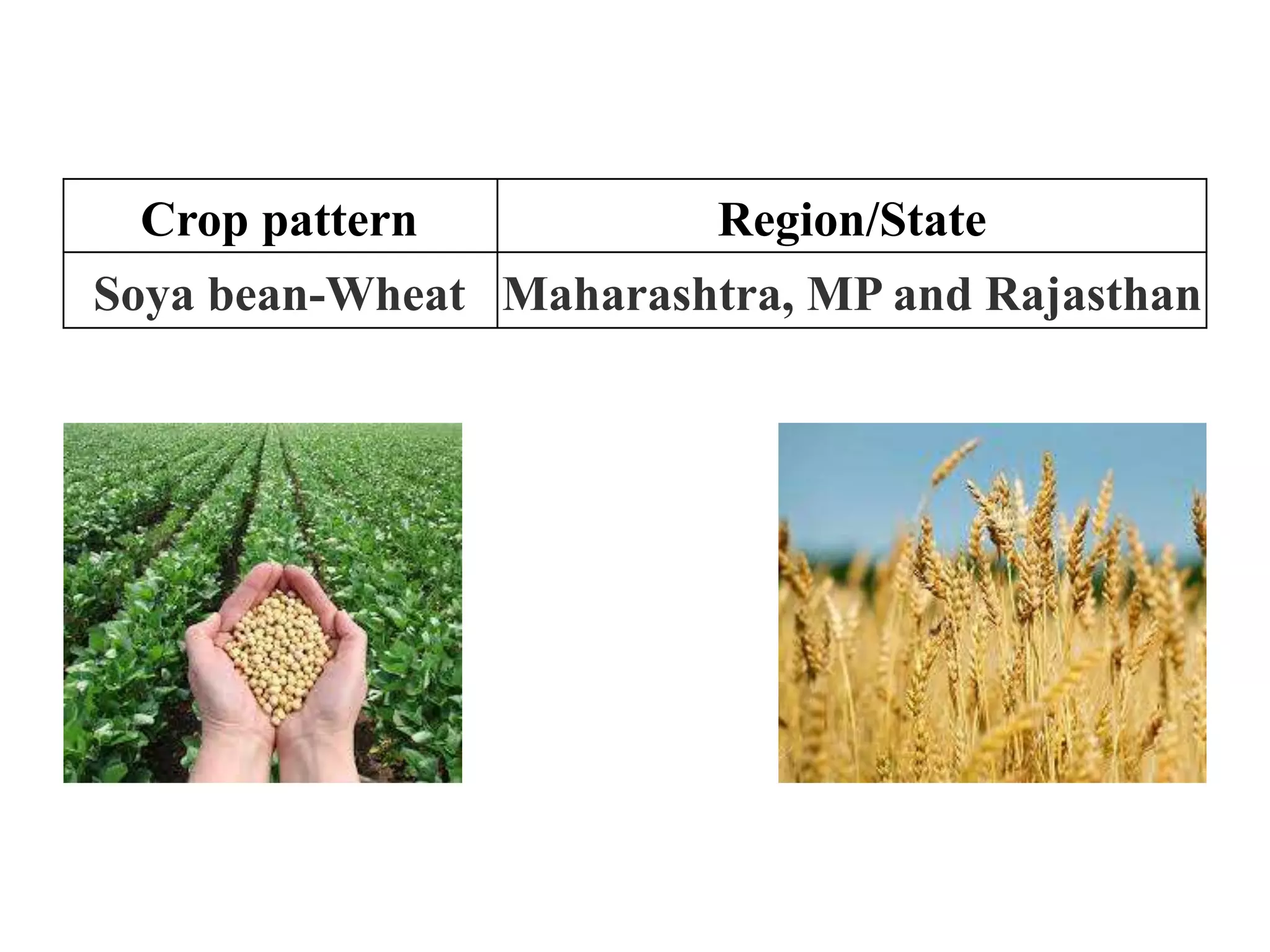 AGRICULTURAL SEASONS & CROPPING PATTERN.ppt