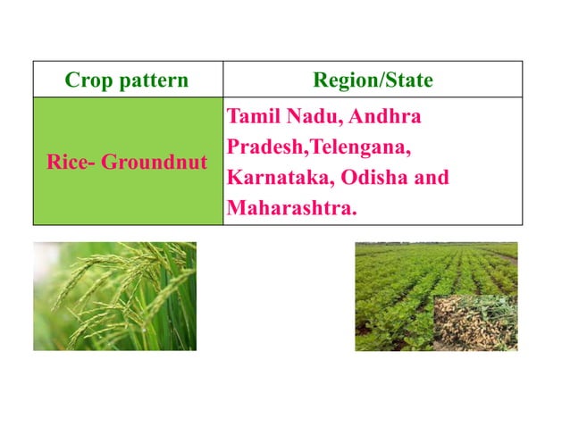 AGRICULTURAL SEASONS & CROPPING PATTERN.ppt