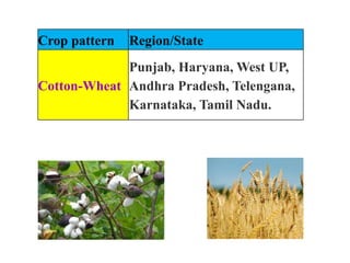 AGRICULTURAL SEASONS & CROPPING PATTERN.ppt
