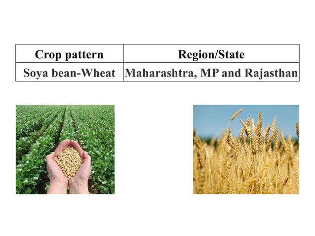 AGRICULTURAL SEASONS & CROPPING PATTERN.ppt