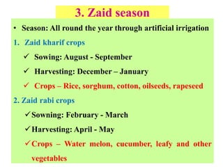 AGRICULTURAL SEASONS & CROPPING PATTERN.ppt