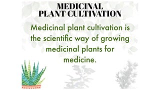 Agricultural sectors part 2 for teaching 8th std students | PPTX