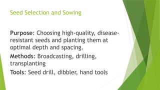Agricultural Tools, Implements and Equipment.pptx
