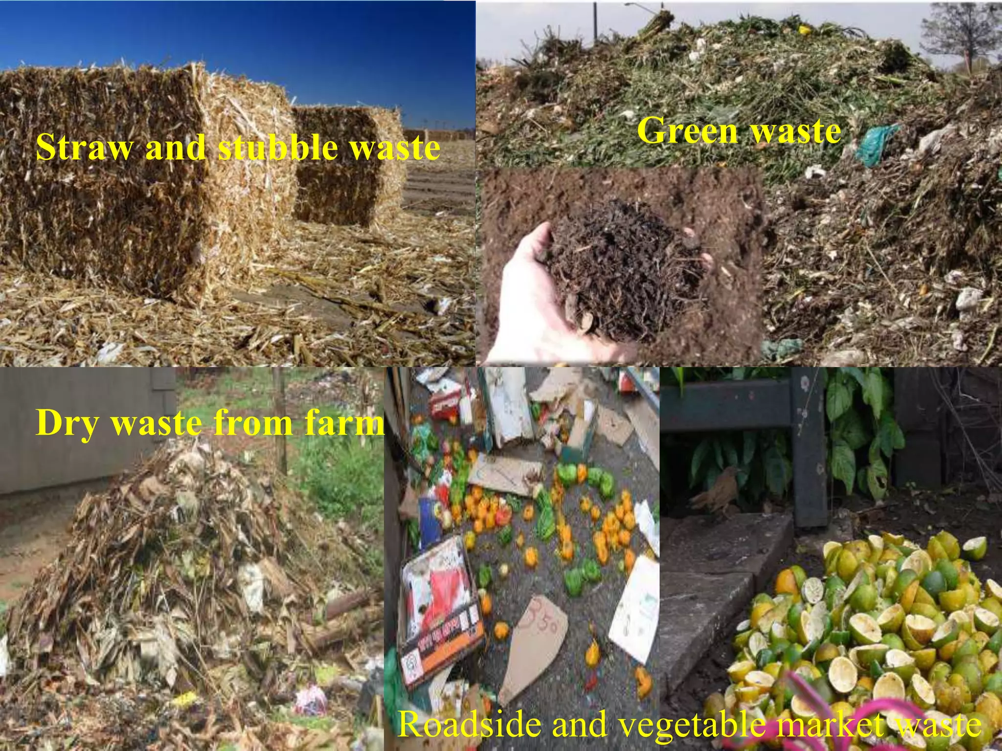 Agricultural waste management | PPTX