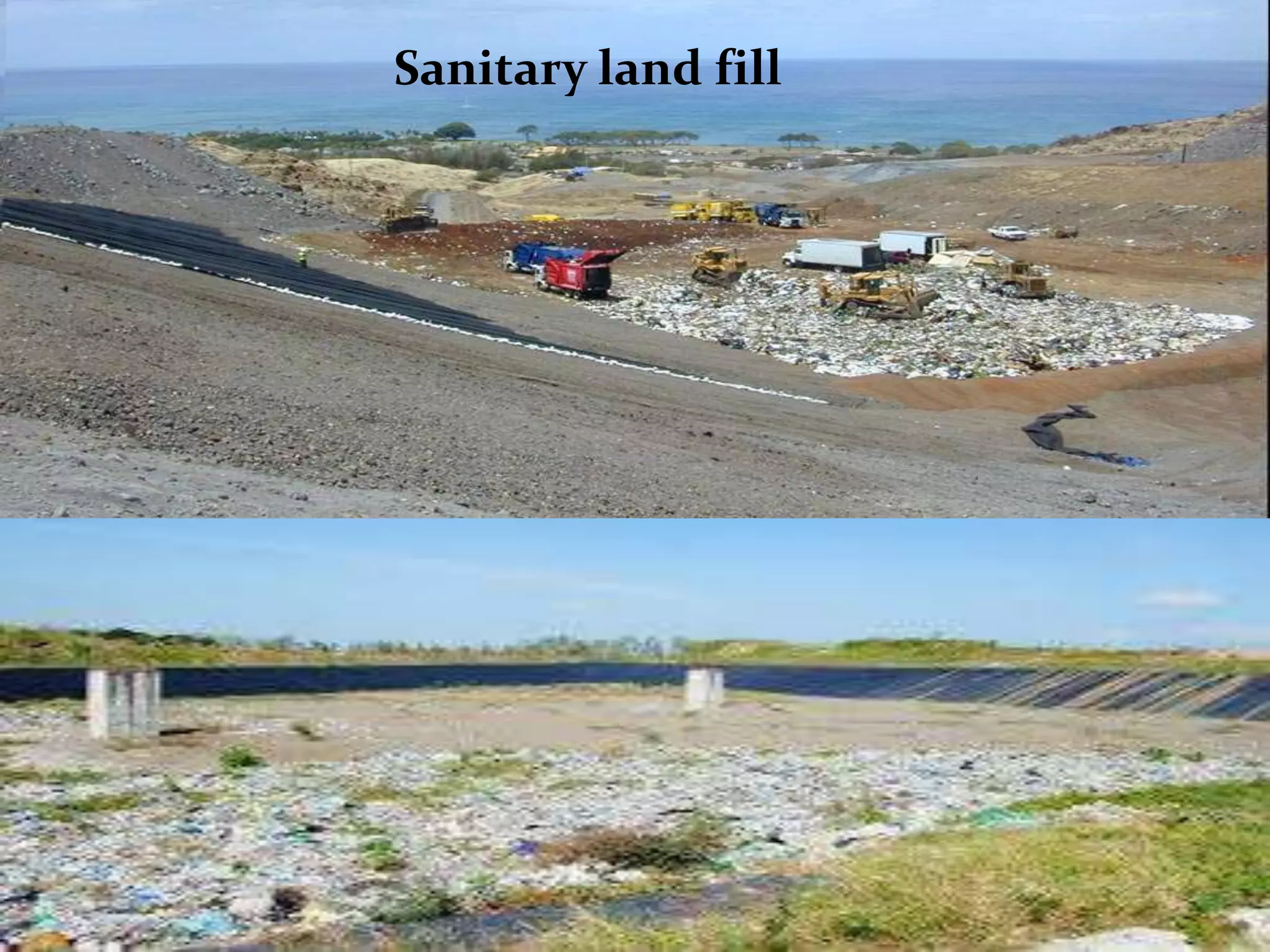 Agricultural waste management | PPTX