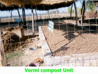 Agricultural waste management | PPTX